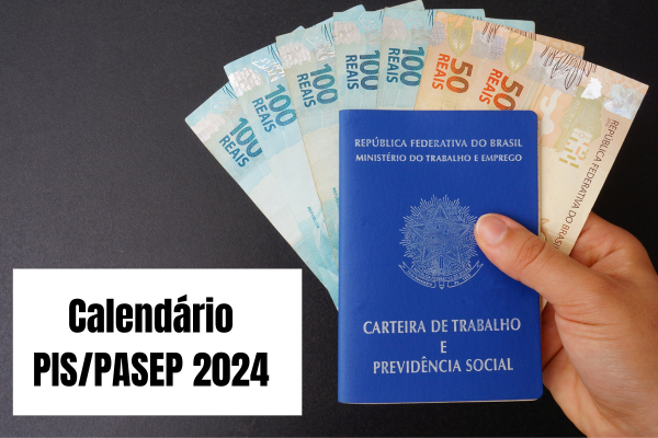 PIS 2024: O Que é e Como Ele Funciona - Conexão Integrativa